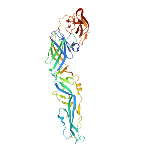 RCSB PDB - 7YW7: Crystal structure of zika virus E protein