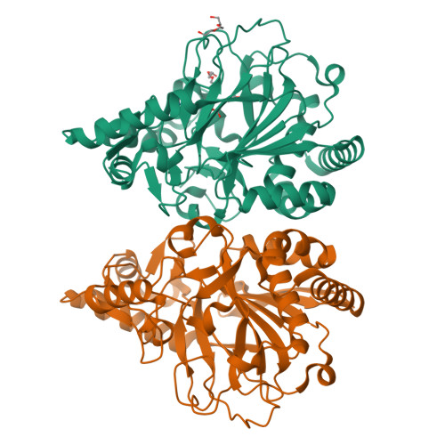 RCSB PDB - 7YW9: Crystal structure of the triple mutant CmnC-L136Q ...
