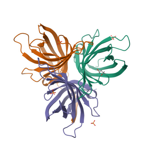 RCSB PDB - 7YWE: Monocot chimeric jacalin JAC1 from Oryza sativa ...