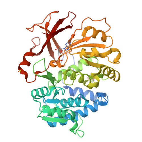RCSB PDB - 7YWK: Crystal structure of an engineered TycA variant ...