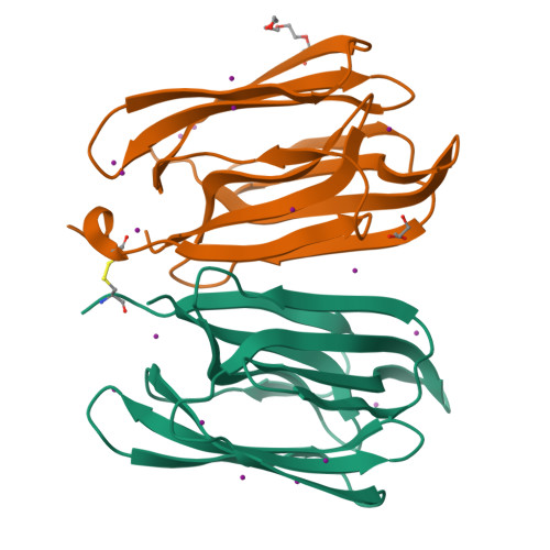 RCSB PDB - 7YWW: Monocot chimeric jacalin JAC1 from Oryza sativa ...