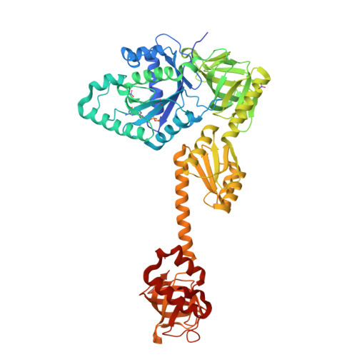 RCSB PDB - 7YYP: Structure of aIF5B from Pyrococcus abyssi complexed ...