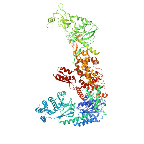 RCSB PDB - 7YZ4: Mouse endoribonuclease Dicer (composite structure)