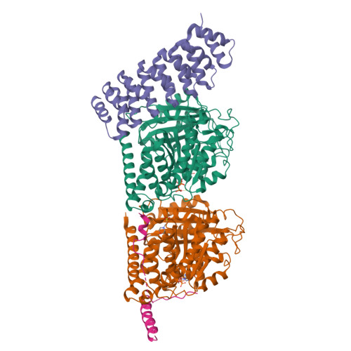 RCSB PDB - 7Z0G: CPAP:TUBULIN:IE5 ALPHAREP COMPLEX P1 SPACE GROUP