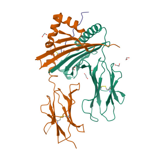 RCSB PDB - 7Z0Q: MHC-II dynamics are maintained in HLA-DR allotypes to ensure catalyzed peptide ...