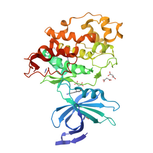 RCSB PDB - 7Z1G: Crystal structure of nonphosphorylated (Tyr216) GSK3b ...