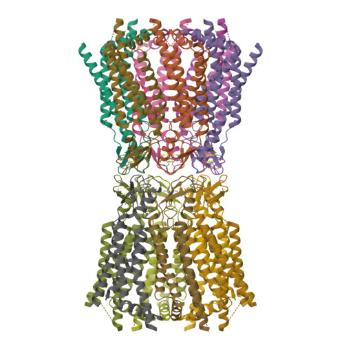 RCSB PDB - 7Z1T: Connexin43 gap junction channel structure in digitonin