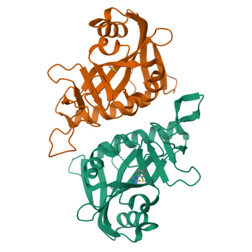 RCSB PDB - 7Z1Y: PARP15 catalytic domain in complex with OUL245