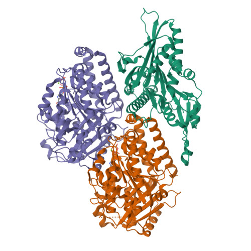 RCSB PDB - 7Z2C: P. falciparum kinesin-8B motor domain in no nucleotide ...