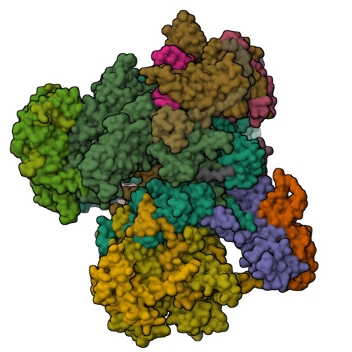 RCSB PDB - 7Z2Z: Structure of yeast RNA Polymerase III-DNA-Ty1 ...