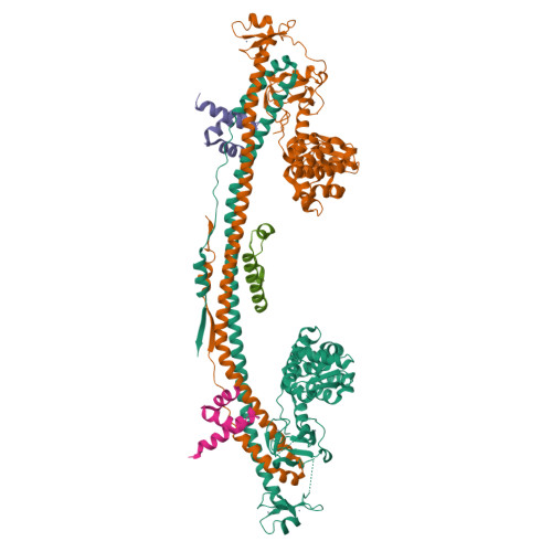 RCSB PDB - 7Z36: Crystal structure of the KAP1 tripartite motif in ...