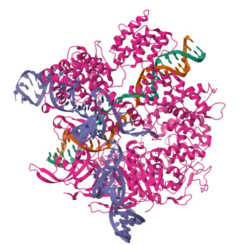 RCSB PDB - 7Z4C: SpCas9 bound to 6 nucleotide complementary DNA substrate