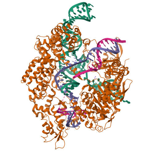RCSB PDB - 7Z4D: Crystal structure of SpCas9 bound to a 10 nucleotide ...