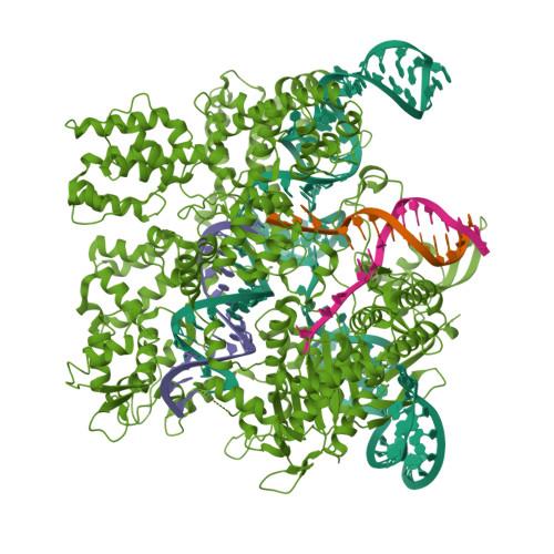 RCSB PDB - 7Z4J: SpCas9 bound to 18-nucleotide complementary DNA ...