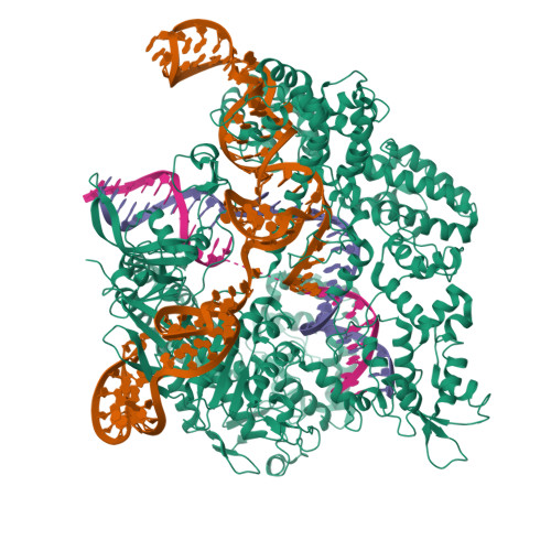 RCSB PDB - 7Z4K: SpCas9 bound to 10-nucleotide complementary DNA substrate