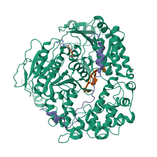 RCSB PDB - 7Z52: Human NEXT dimer - focused reconstruction of the ...