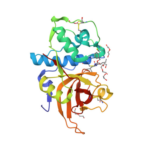RCSB PDB - 7Z58: Crystal structure of human Cathepsin L in complex with ...