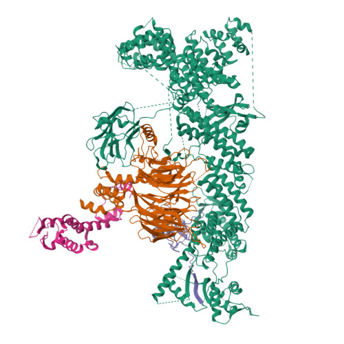RCSB PDB - 7Z8B: Structure of CRL7FBXW8 reveals coupling with CUL1-RBX1 ...