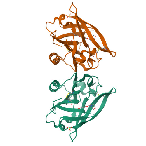 RCSB PDB - 7ZA0: Mutant L58F of recombinant bovine beta-lactoglobulin ...