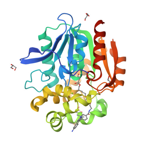 RCSB PDB - 7ZBA: HaloTag with Me-TRaQ-G ligand