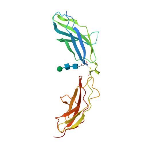 RCSB PDB - 7ZCB: Human Pikachurin/EGFLAM N-terminal Fibronectin-III (1 ...