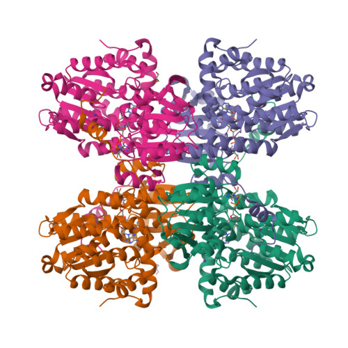RCSB PDB - 7ZD9: Crystal structure of the E352T mutant of S-adenosyl-L ...