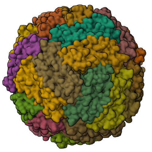 RCSB PDB - 7ZG7: Structure of human Apoferritin obtained from ssDNA ...