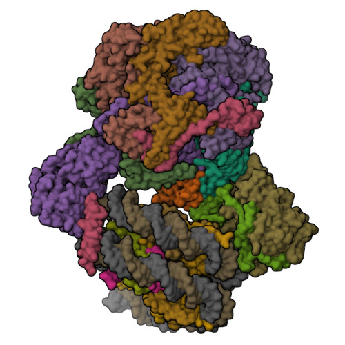 RCSB PDB - 7ZI4: Cryo-EM structure of the human INO80 complex bound to ...