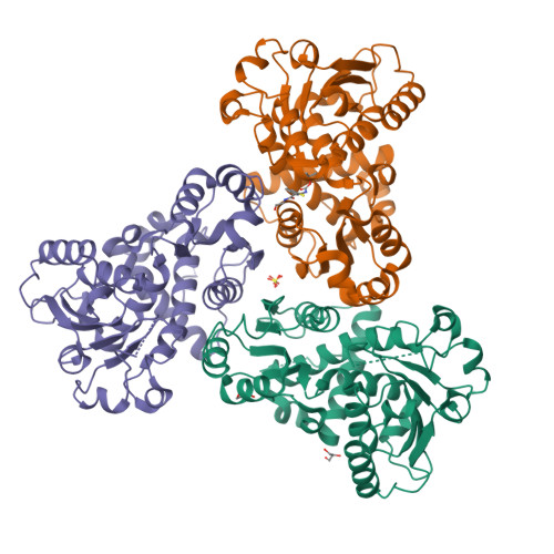 RCSB PDB - 7ZID: Crystal Structure of truncated aspartate ...