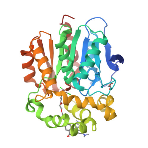 RCSB PDB - 7ZIV: X-ray structure of the haloalkane dehalogenase dead ...