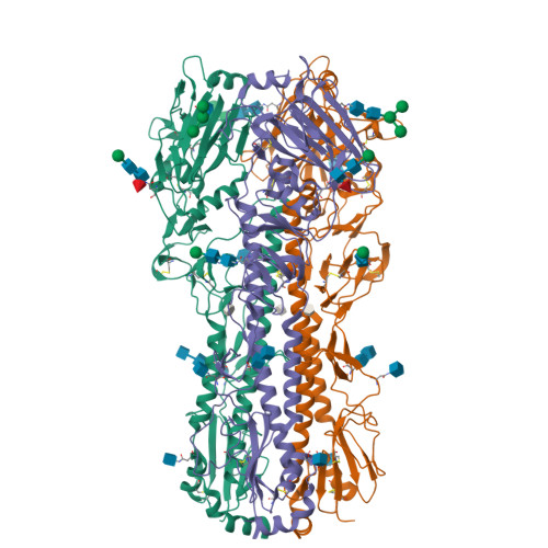 RCSB PDB - 7ZJ8: X-31 Hemagglutinin Precursor HA0 at pH 7.5 after ...