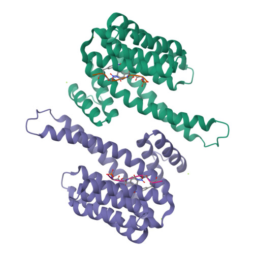 RCSB PDB - 7ZMW: 14-3-3s binding to non-natural peptide 2c