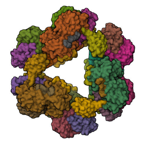 RCSB PDB - 7ZNJ: Structure of an ALYREF-exon junction complex hexamer