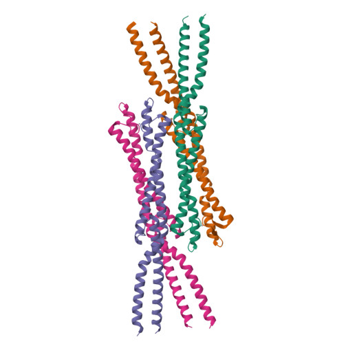 RCSB PDB - 7ZQY: Chaetomium thermophilum Rad50 Zn hook
