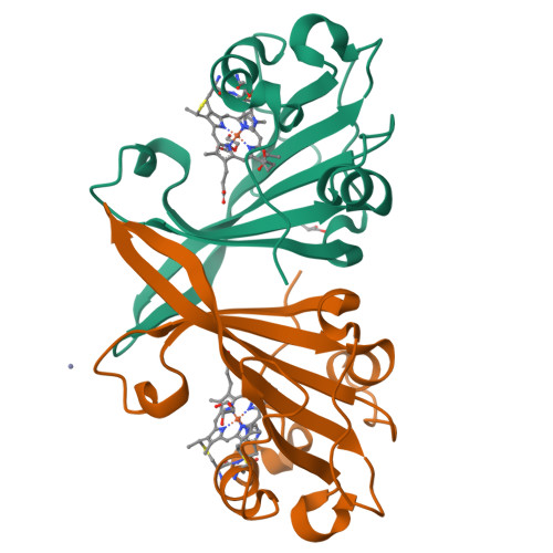 RCSB PDB - 7ZS4: F32V Cytochrome c prime beta from Methylococcus ...