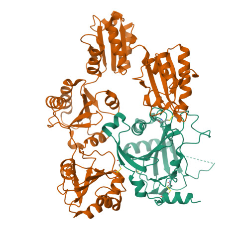 RCSB PDB - 7ZSC: Crystal structure of the heterodimeric human C-P4H-II ...