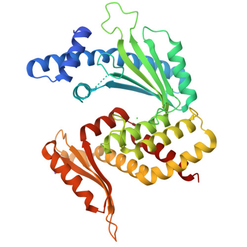 RCSB PDB - 7ZTB: Structure of the Salmonella tRNA pyrophosphokinase CapRel