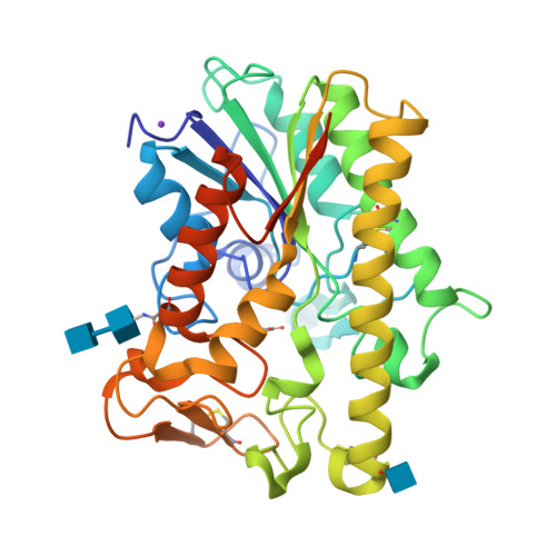 RCSB PDB - 7ZTN: Crystal structure of fungal CE16 acetyl xylan esterase