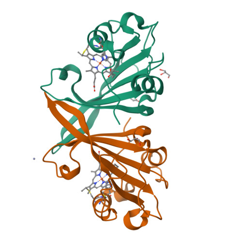 RCSB PDB - 7ZVZ: Cytochrome c prime beta from Methylococcus capsulatus ...