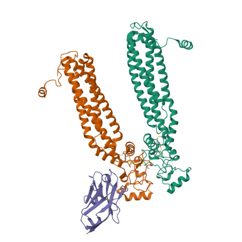 RCSB PDB - 7ZW1: Human PRPH2-ROM1 hetero-dimer