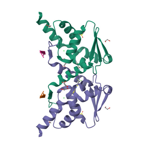 RCSB PDB - 7ZWS: Crystal structure of human BCL6 BTB domain in complex ...