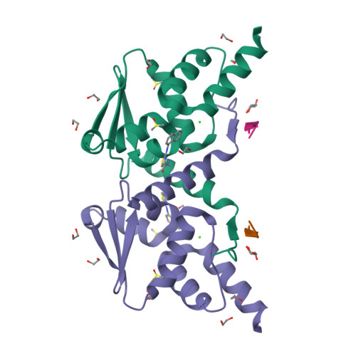 RCSB PDB - 7ZWU: Crystal structure of human BCL6 BTB domain in complex ...