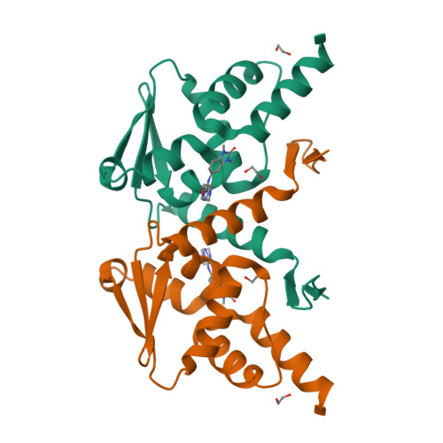 RCSB PDB - 7ZWW: Crystal structure of human BCL6 BTB domain in complex ...