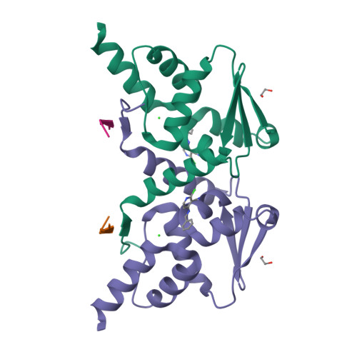 RCSB PDB - 7ZWY: Crystal structure of human BCL6 BTB domain in complex ...