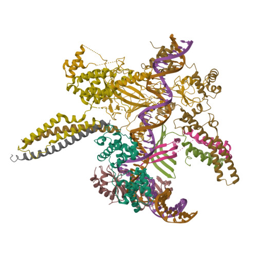 RCSB PDB - 7ZXE: Structure of SNAPc containing Pol II pre-initiation complex bound to U1 snRNA ...