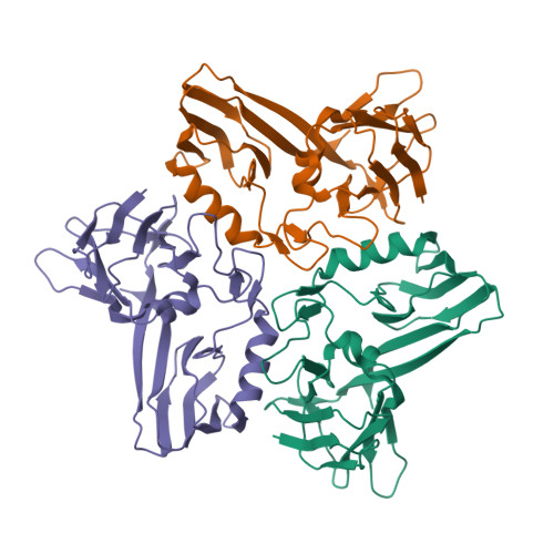 RCSB PDB - 8A03: Bacteriophage phiCjT23 major capsid protein trimer type 3