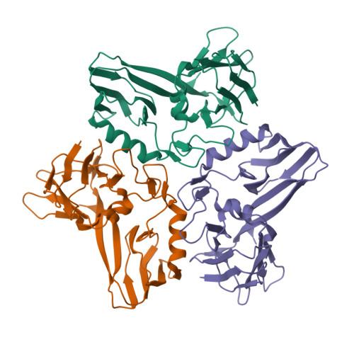 RCSB PDB - 8A04: Bacteriophage phiCjT23 major capsid protein trimer type 4