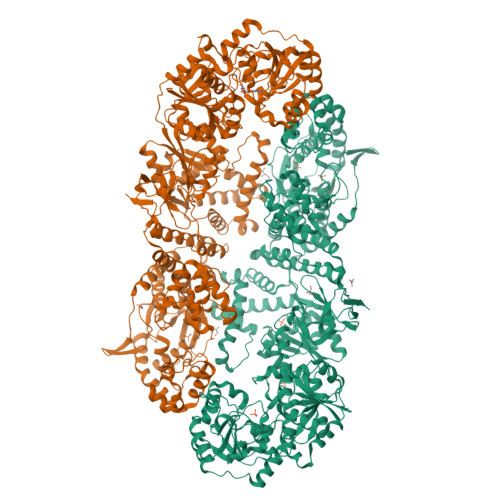 RCSB PDB - 8A0C: Capsular polysaccharide synthesis multienzyme in ...