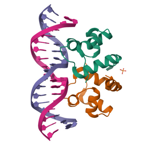 RCSB PDB - 8A0W: Crystal structure of the HigA2 antitoxin in complex ...