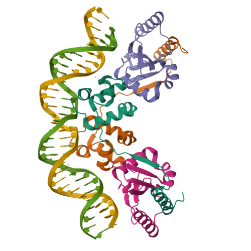 RCSB PDB - 8A0X: Crystal structure of the HigB2-HigA2 tetramer in ...